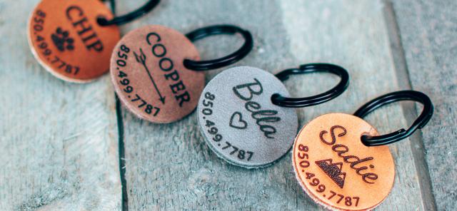 10 Best Cat Tags in 2025: 👍 Best Unique Cat Name Tags | mypetguru.com