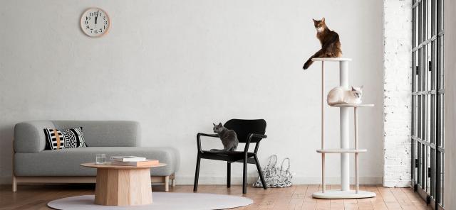 10 Best Cat Towers of 2026 Reviews: 🤩 Complete Guide To Buying The Best ...